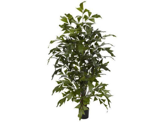 Click here for 4.5 Fishtail Palm Silk Tree prices