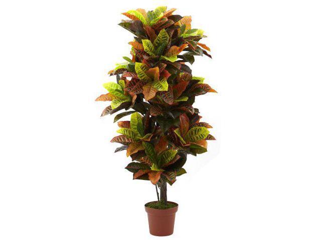 Click here for 56 Croton Plant (Real Touch) prices