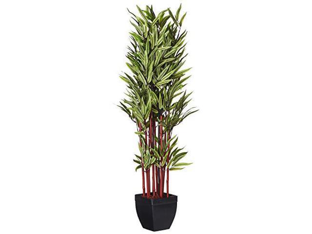 Click here for 4 Bamboo Silk Tree w/Planter prices