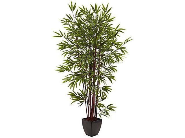 Click here for 6 Bamboo Silk Tree w/Planter prices