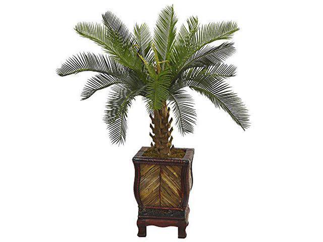 Click here for 3 Cycas Tree in Wood Planter prices