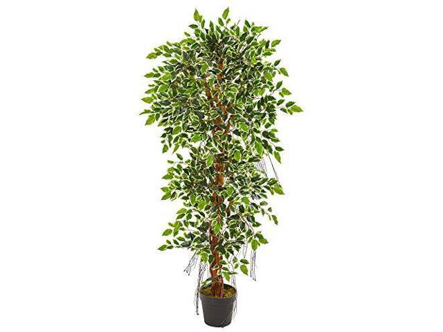 Click here for 5 Elegant Ficus Artificial Tree prices