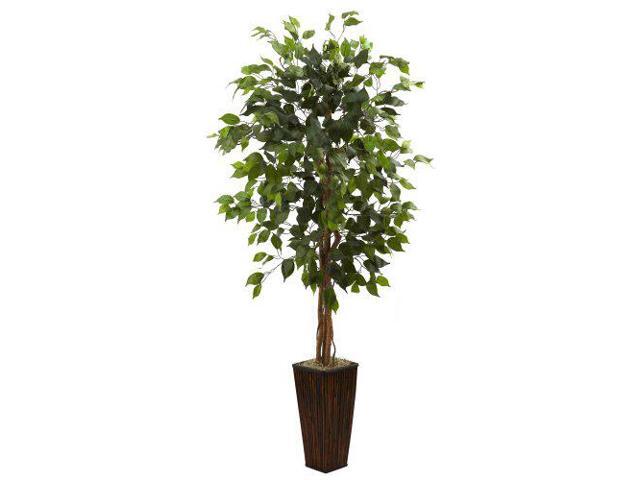 Click here for 5.5 Ficus Tree w/Bamboo Planter prices