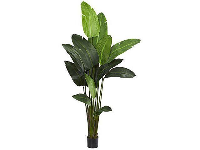 Click here for Travelers Palm Artificial Tree prices