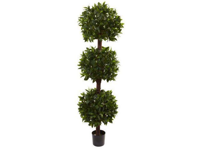 Click here for 6.5 Sweet Bay Triple Ball Topiary prices