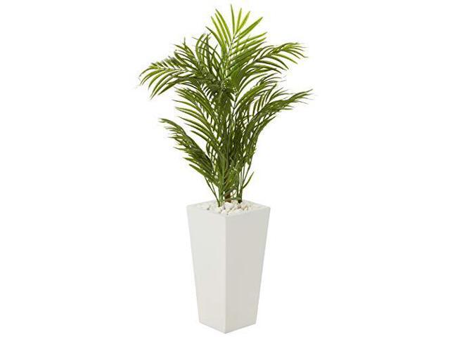 Click here for Areca Palm in White Square Planter prices