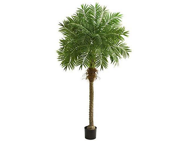 Click here for 80 Robellini Palm Artificial Tree prices