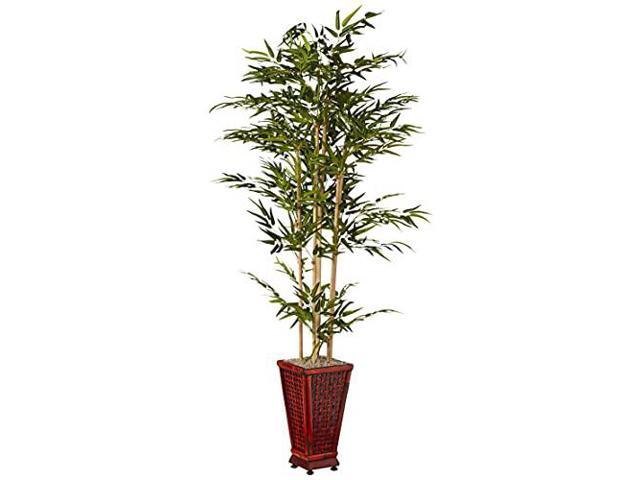 Click here for 6 Bamboo Tree w/Decorative Planter prices
