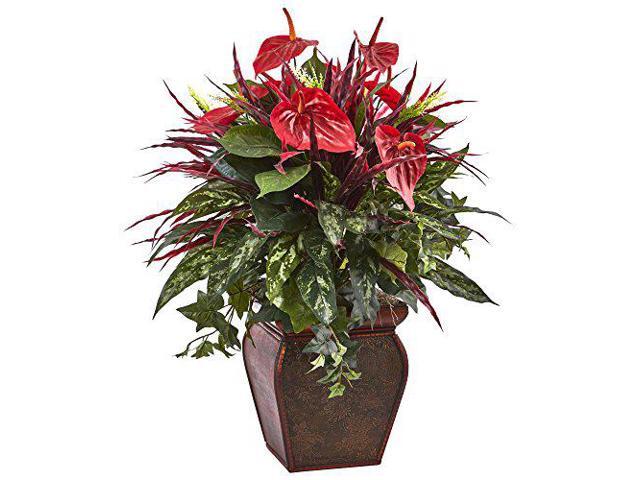 Click here for Anthurium Mixed Plant with Planter prices