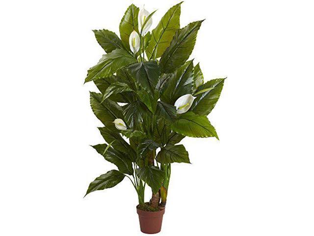 Click here for 4.5 Spathyfillum Plant (Real Touch) prices