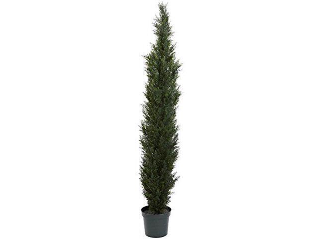 Click here for 7 Mini Cedar Pine Tree w/3614 Tips in 12 Pot (Two... prices