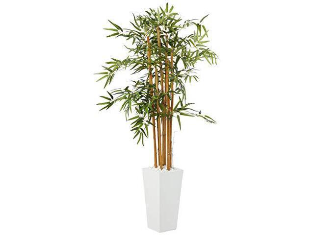 Click here for 5 Bamboo Tree in White Tower Planter prices