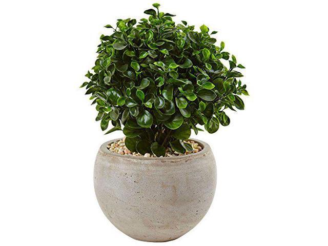 Click here for 2 Eucalyptus in Sand Colored Bowl UV Resistant (In... prices