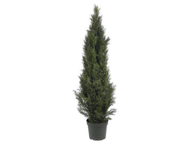 Click here for 5 Mini Cedar Pine Tree (Indoor/Outdoor) prices