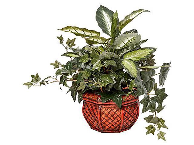 Click here for Dieffenbachia & Ivy w/Decorative Planter prices