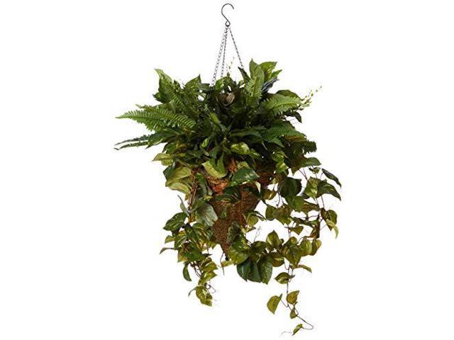 Click here for Vining Mixed Greens w/Cone Hanging Basket prices