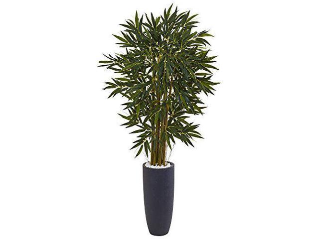 Click here for 6.5 Bamboo Tree in Gray Cylinder Planter prices