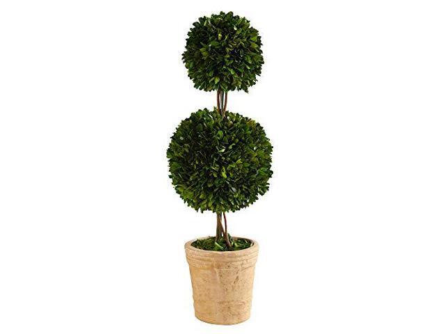 Click here for 2.5 Preserved Boxwood Double Ball Topiary Tree in... prices