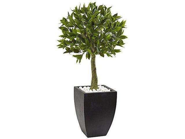 Click here for Bay Leaf Topiary with Black Wash Planter UV Resist... prices
