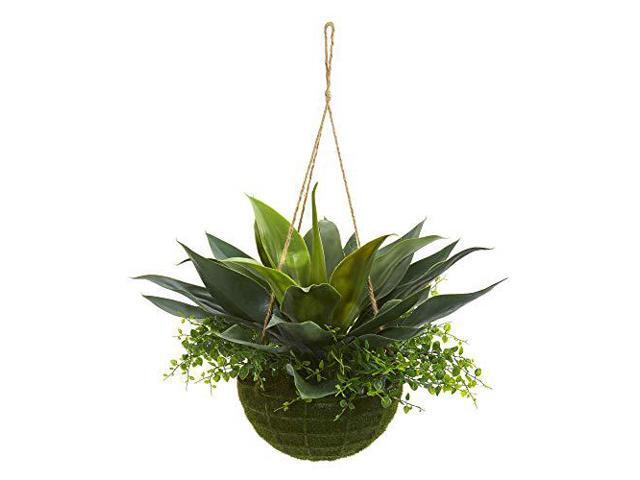 Click here for Agave and Maiden Hair Artificial Plant in Hanging... prices