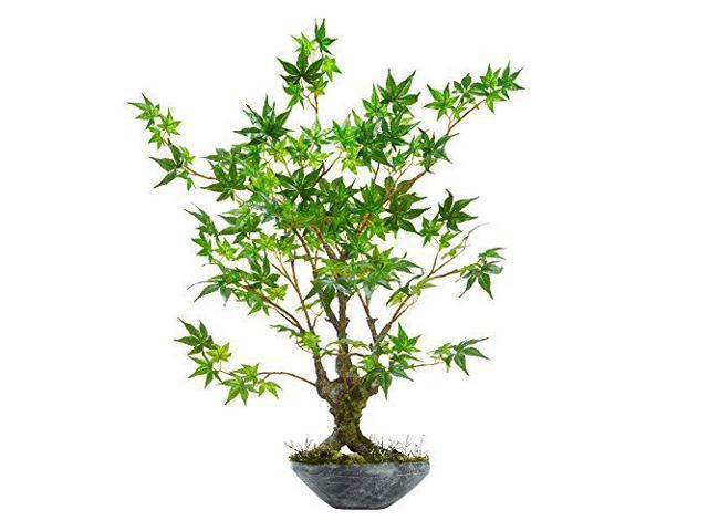 Click here for 30 Maple Bonsai Artificial Tree in Planter prices