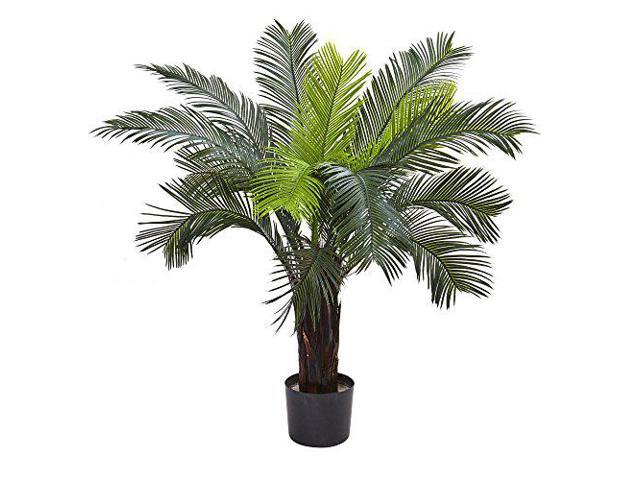 Click here for 3 Cycas Tree UV Resistant (Indoor/Outdoor) prices