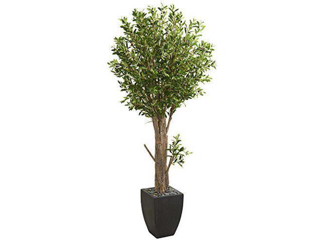 Click here for 6.5 Olive Artificial Tree in Black Planter prices