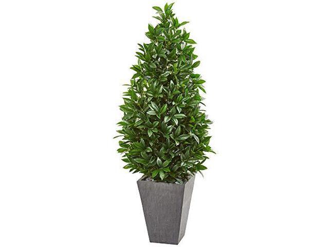 Click here for 57 Bay Leaf Cone Topiary Tree in Slate Planter UV... prices