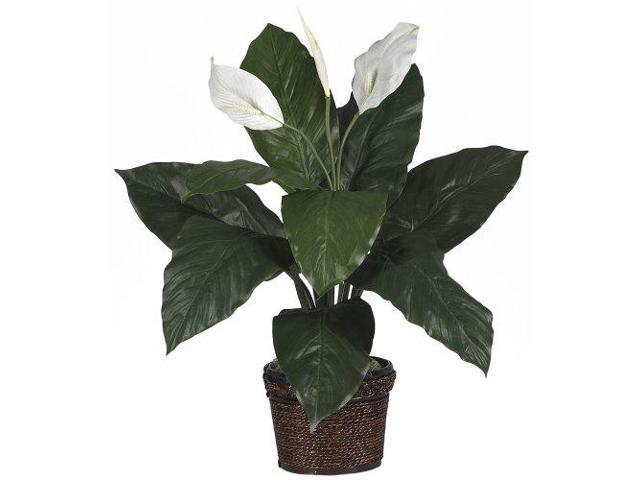 Click here for Spathyfillum w/Coiled Rope Wicker Silk Plant prices