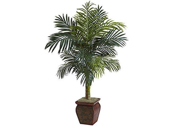 Click here for 4.5 Golden Cane Palm w/Decorative Container prices