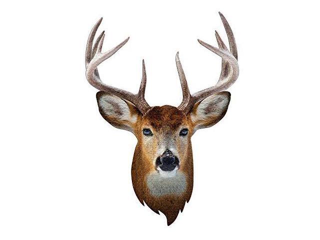 Click here for Madd Capp Puzzles - I AM Buck - 550 Pieces - Anima... prices