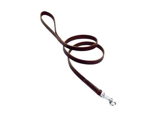 Click here for Coastal Pet Latigo Leather Dog Leash Size: 1 W x 7... prices