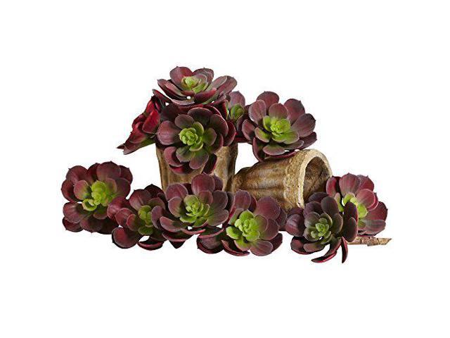 Click here for Nearly Natural 6106-BG-S12 Echeveria Succulent Pla... prices