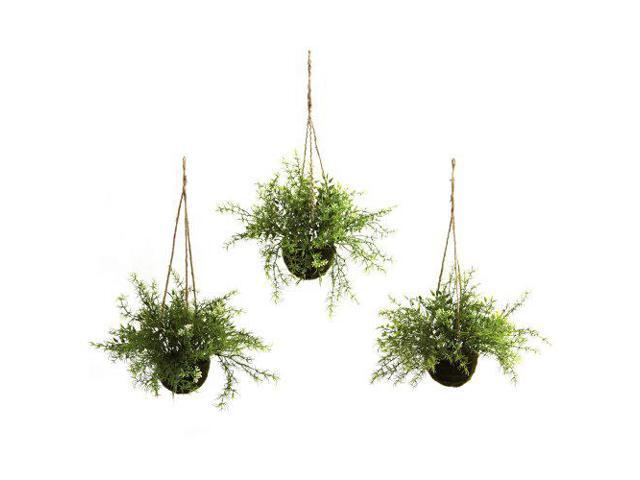 Click here for Nearly Natural 6742-S3 Ruscus Sedum Springeri Hang... prices