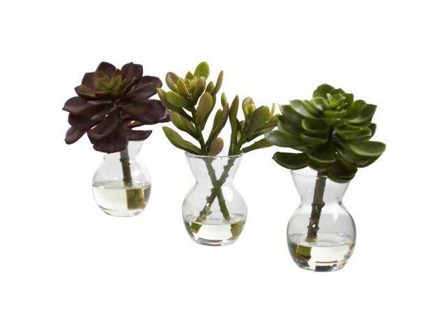 Click here for Nearly Natural 4954-S3 Succulent Arrangements  Gre... prices