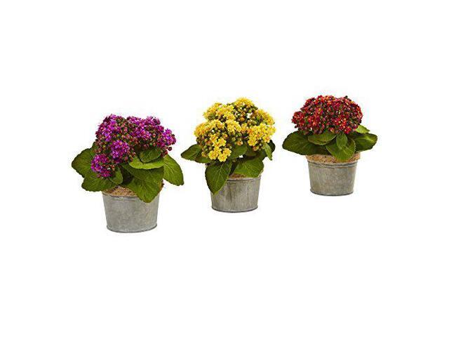 Click here for Nearly Natural Kalanchoe Artificial Arrangements... prices