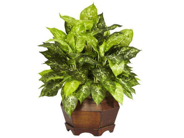 Click here for Nearly Natural 6709 Variegated Dieffenbachia with... prices