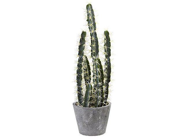 Click here for Nearly Natural Decorative Cactus Garden with Cemen... prices