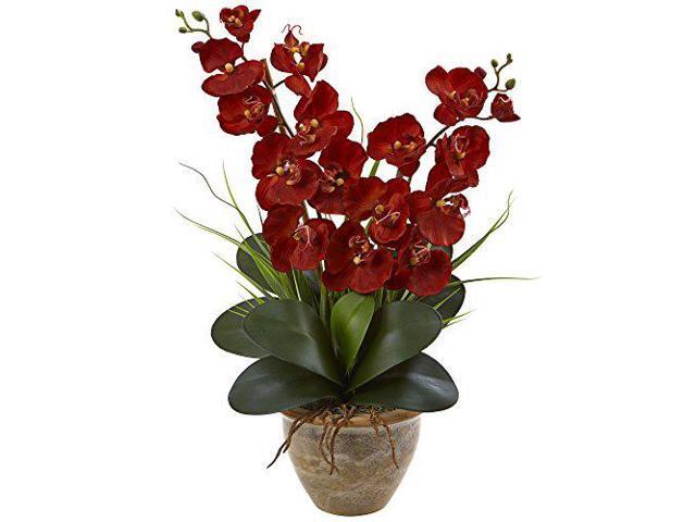 Click here for Nearly Natural 1 Double Phalaenopsis Orchid Arrang... prices