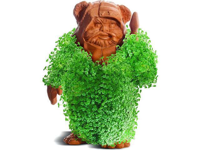 Click here for Star Wars Ewok Chia Pet Decorative Pottery Planter prices