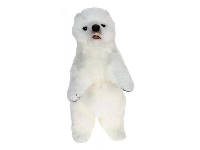 Click here for POLAR CUB ON 2FT 14 prices