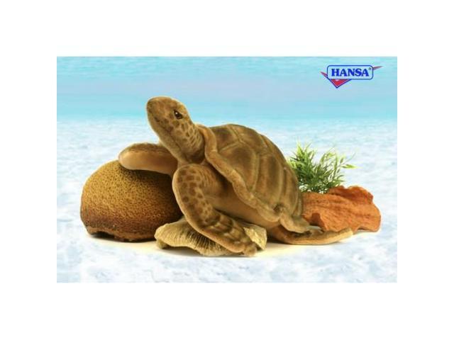 Click here for SEA TORTOISE 20L prices
