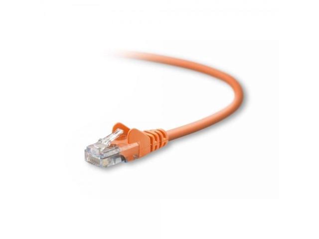 Click here for Belkin Network Cable - 6 ft ( A3L791-06-ORG-S ) prices