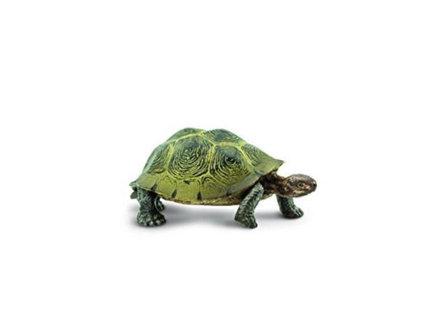 Click here for Safari: Desert Toroise prices