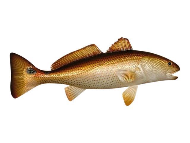 Click here for Replica Red Drum Fish Ocean Restaurant Wall Decor... prices