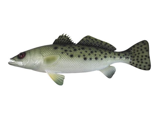 Click here for Spotted Sea Trout Replica Nautical Saltwater Fishi... prices
