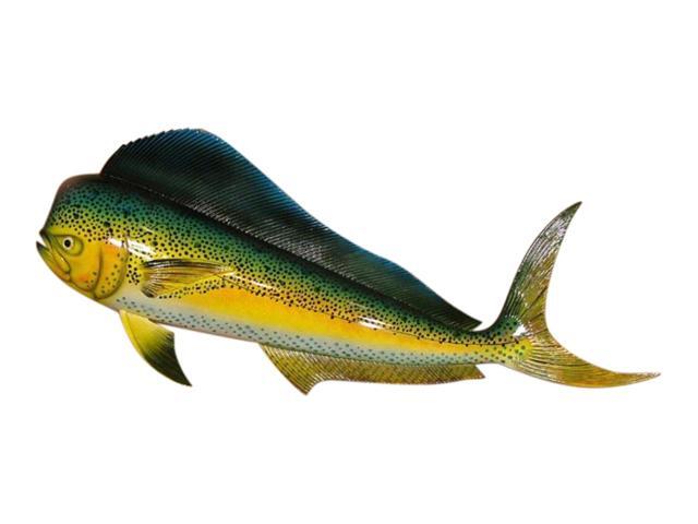 Click here for Replica Mahi 28 Inch Dolphin Salt Water Fishing Wa... prices