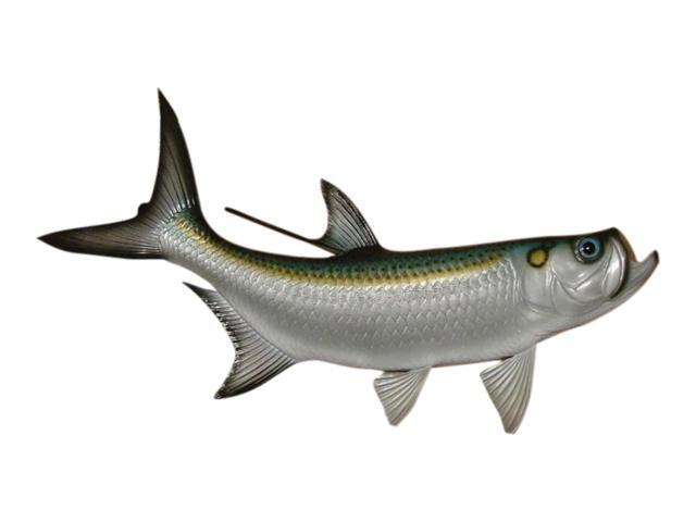 Click here for Replica Tarpon Saltwater Game Ocean Fish Wall Deco... prices