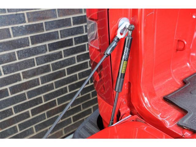 Click here for Dee Zee DZ43101 Tailgate Assist prices