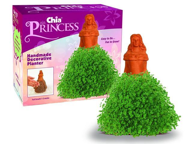 Click here for Chia Pet Planter - Princess prices